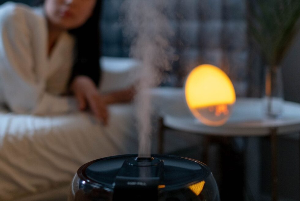 Causes & Solutions For Dry Air Inside Your Home | LG Home Comfort